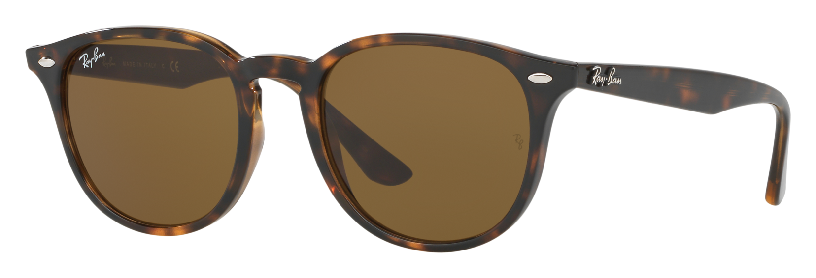 Ray-Ban RB4259 Sunglasses | Bass Pro Shops